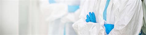 Antibody Dependent Cellular Phagocytosis Adcp Creative Bioarray