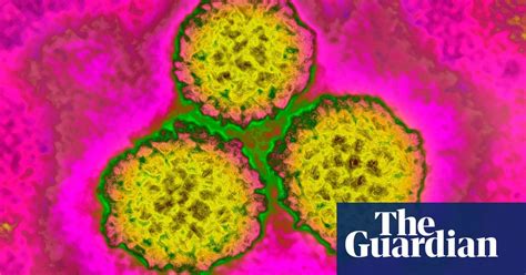 Microwave Device Could Be Less Invasive Treatment For Hpv Caused Cancers Reverythingscience