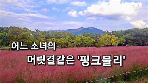 수줍은 핑크머리 소녀의 머릿결 같은 가을 핑크뮬리 산책f하남미사경정공원 Youtube