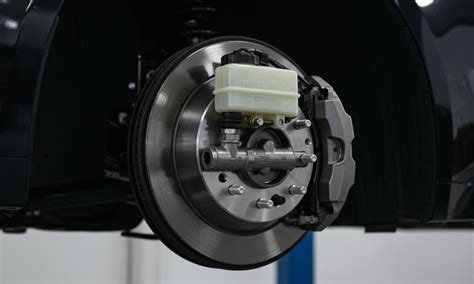 [ppt] Biological Classification Class 11 Notes Rajus Biology