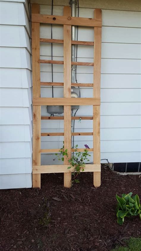 Free DIY Trellis With Cedar Fence Planks For Outdoor Utilities Cover