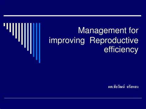 Ppt Management For Improving Reproductive Efficiency Powerpoint