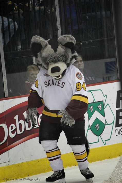 Skates The Chicago Wolves Mascot Through The Lens