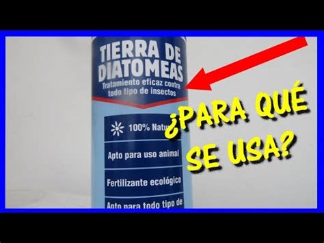 Usos de la tierra de DIATOMEAS Cómo usar y para qué la tierra de