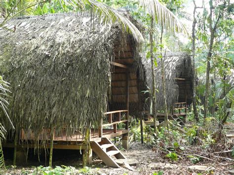 Huaorani Ubicación Vestimentas Costumbres Y Más