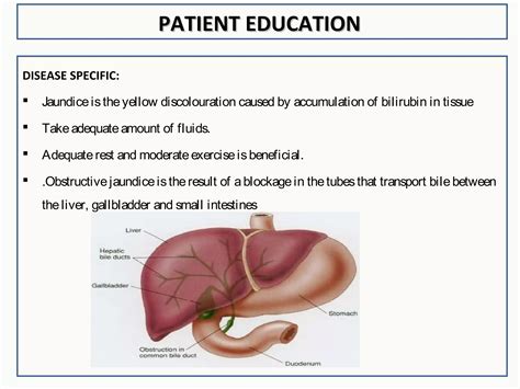 Case Presentation On Obstructive Jaundice Ppt