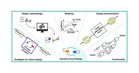 Designing Biological Circuits From Principles To Applications Acs Synthetic Biology