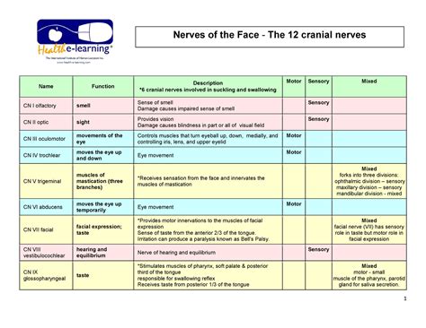 Cranial Nerves Guide Crenial 1 Nerves Of The Face The 12 Cranial