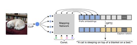 End To End Implementation Of An Image Caption Generator With Cnn And