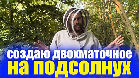Объединяем отводки пчел сохраняем матки Youtube
