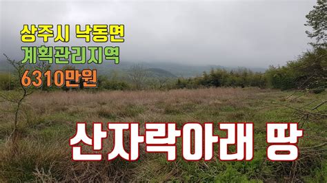 매물번호 7084 경상북도 상주시 낙동면 비룡리 농지 마을 위쪽 산자락 아래에 위치한 농지 현재 묵답임 지대가 높고 경사가 있어 전망이 좋음 진입로가 없는 맹지임