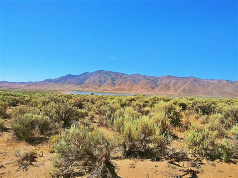 074 052 49 Washoe County Nv