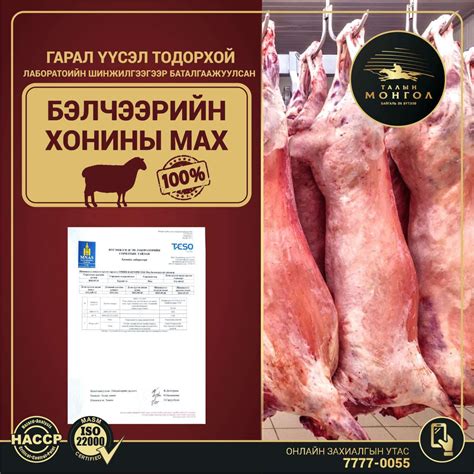 Талын Монгол Талын монгол брэнд нь хэрэглэгч та