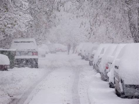 Heres How Much Snow Has Fallen In Framingham Framingham Ma Patch