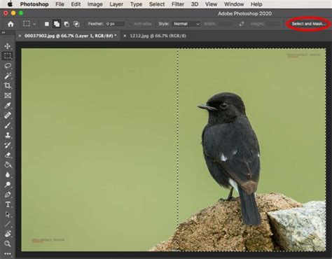 How To Crop A Layer In Photoshop Best Methods PhotographyAxis