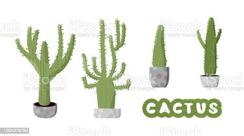 선인장의 집합입니다 Succulents의 컬렉션입니다 벡터 일러스트입니다 0명에 대한 스톡 벡터 아트 및 기타 이미지 0명
