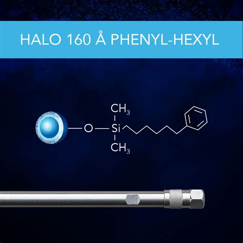 Halo® 160 Å Phenyl Hexyl Column Peptide Solution