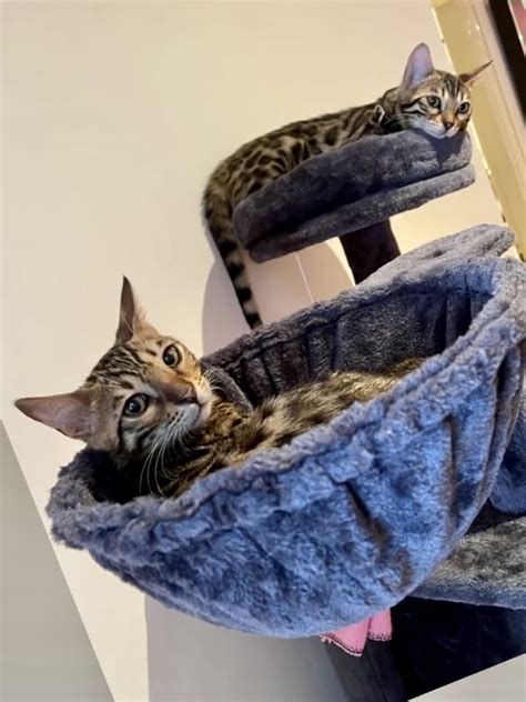 There They Are Jimmy And Sassy 😻😻 Claudicious On Tumblr