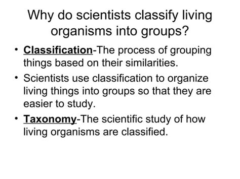 Classification Ppt