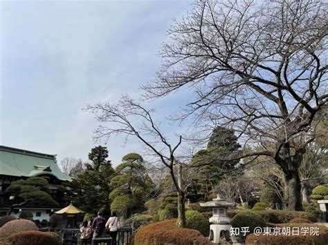 東京大仏一坐落在板桥区 知乎