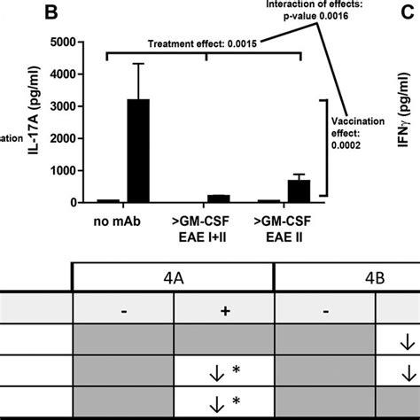 Cytokine Production From Drained Lymph Node Cells Of Mice Treated With