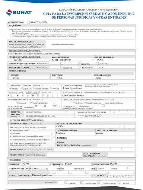 Guía Para La Inscripción O Reactivación En El Ruc De Personas Jurídicas