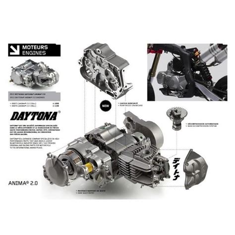 Sale > daytona > in stock