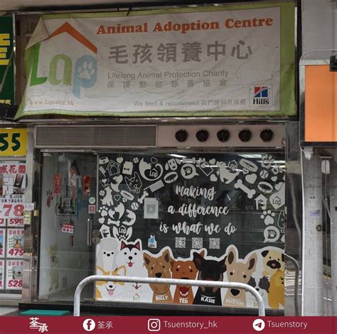 荃承 【荃灣動物暫托機構 收容被困天台狗隻】