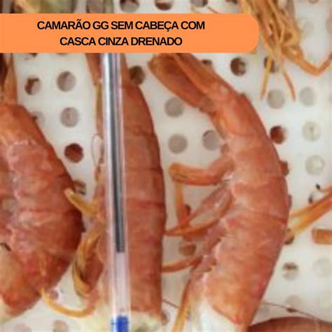 CamarÃo Gg Sem CabeÇa Com Casca Cinza Drenado Ph Pescados