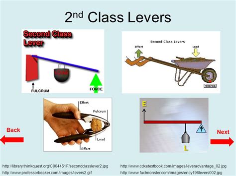Levers Next Ppt Download