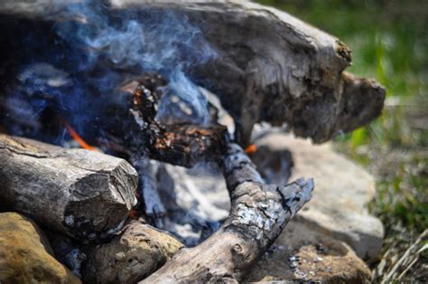 Five Steps To Prevent Tick Bites Lüsa Organics