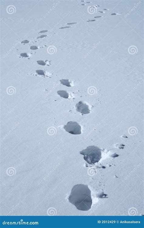 Empreintes De Pas Dans La Neige Images Libres De Droits Image 2012429