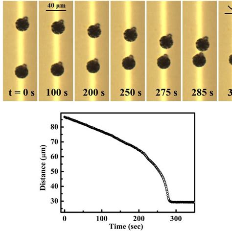 Temporal Evolution Of The Phases During The Spinodal Decomposition In