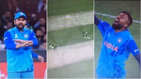 Watch Rohit Pandya Lose Cool Argue With Umpire As Spider Cam Robs