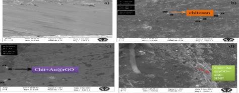 Scanning Electron Microscopic Images Sem Of Bare Au Wire Electrode Download Scientific