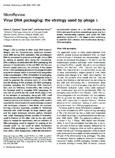 Pdf Virus Dna Packaging The Strategy Used By Phage