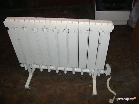 Jaki grzejnik elektryczny wybrać ceramiczny konwektor czy olejowy