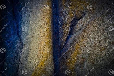 Abstract Structure Of Tree Trunk Stock Image Image Of Texture Pattern 331875227