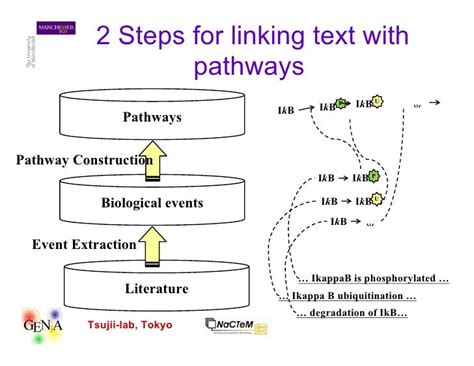 text mining tools for semantically enriching scientific literature