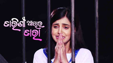 Watch Tarini Akhira Tara Ep 1466 8th Nov 2022 Odia Serial Tarang Plus
