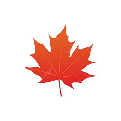 Maple Leaf Logo Icon Design Template Vector Logo Icons Leaf Icons