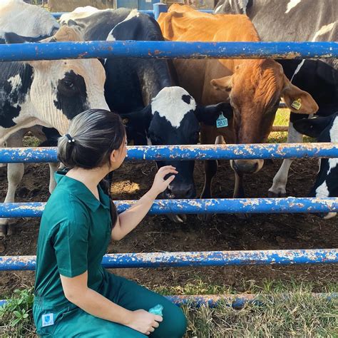 Yasmin Hoffmann Yahoffmann • Instagram Photos And Videos