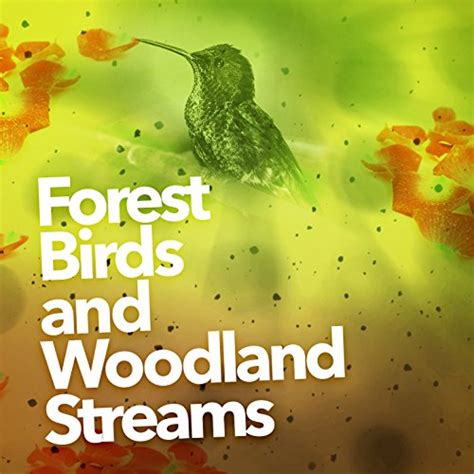 Amazon Musicでforest Sounds Relaxing Spa Music Singing Birdsのforest