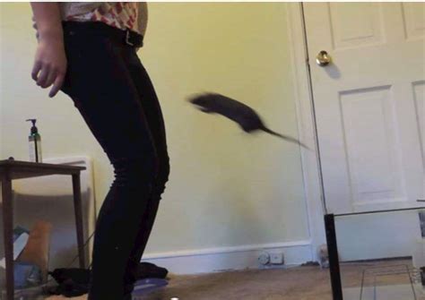 Wey Noooo Meme Subido Por Urg1997 Memedroid