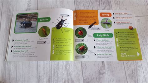 we re going on a bug hunt bug safari review