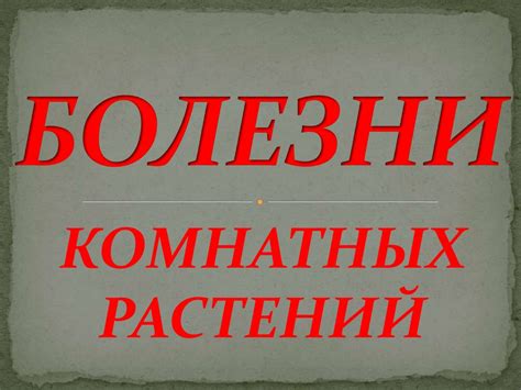 Советы по уходу за комнатными растениями презентация онлайн