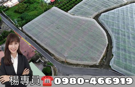 農地【嘉誠國小】三角窗 有水有電農地高雄市大社區嘉誠段 樂屋網 土地買賣