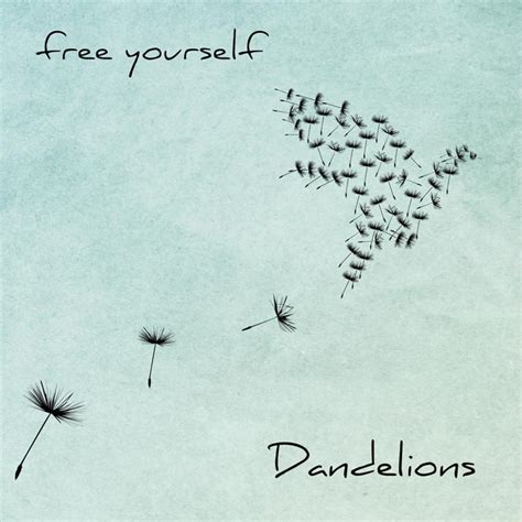 Dandelions Spotify