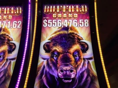 The Best Win Jackpots And Handpay In Buffalo Gold And Other Versions