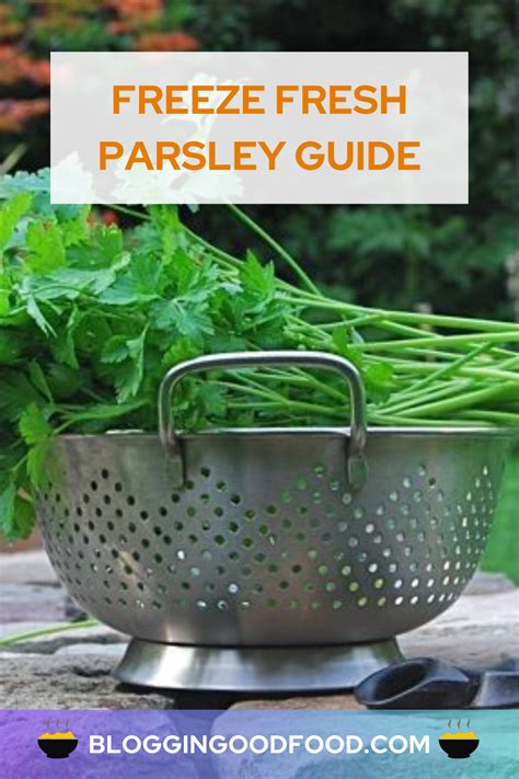 How To Freeze Parsley Quick Methods Artofit